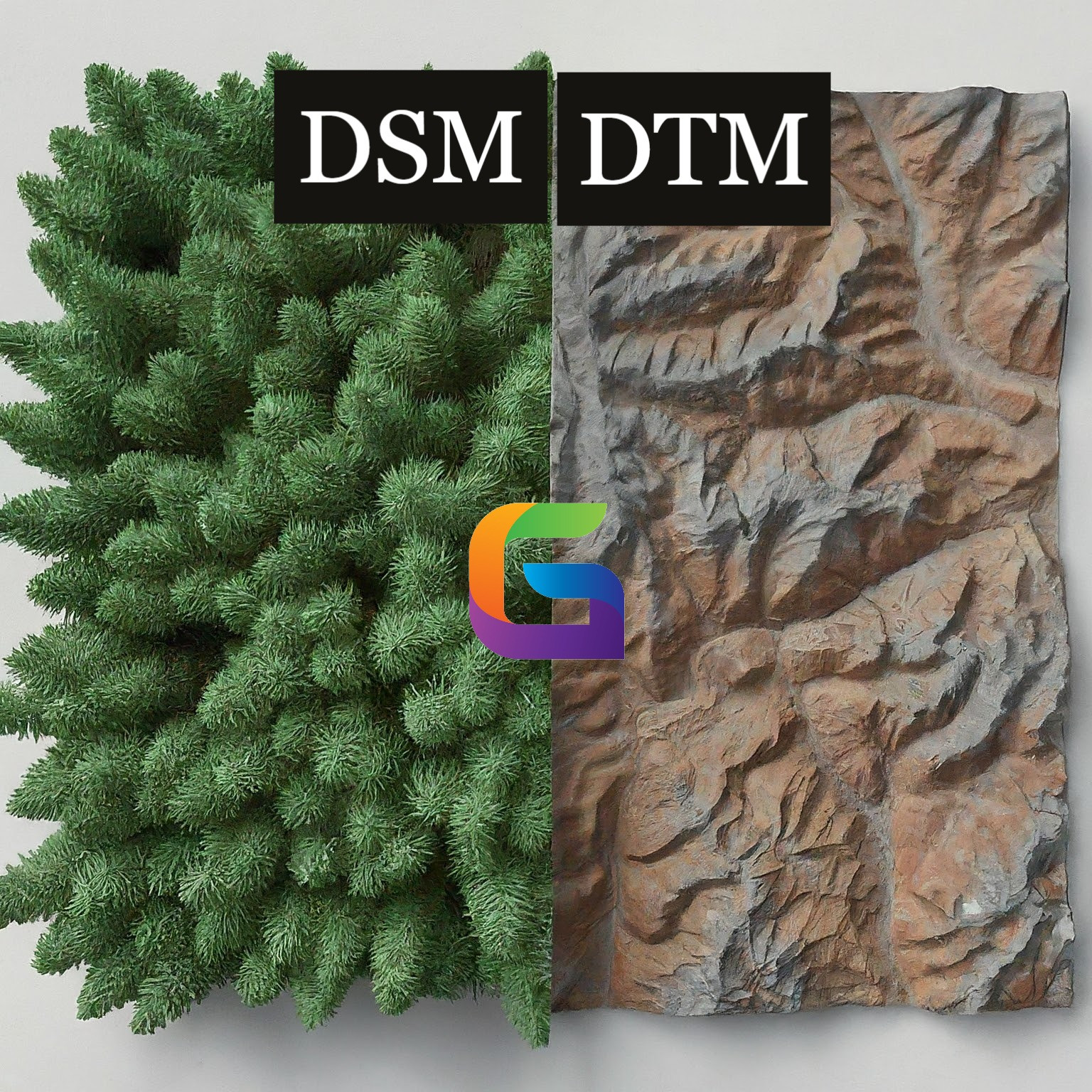 What is a Digital Surface Model? | GIS Services by GeoWGS84